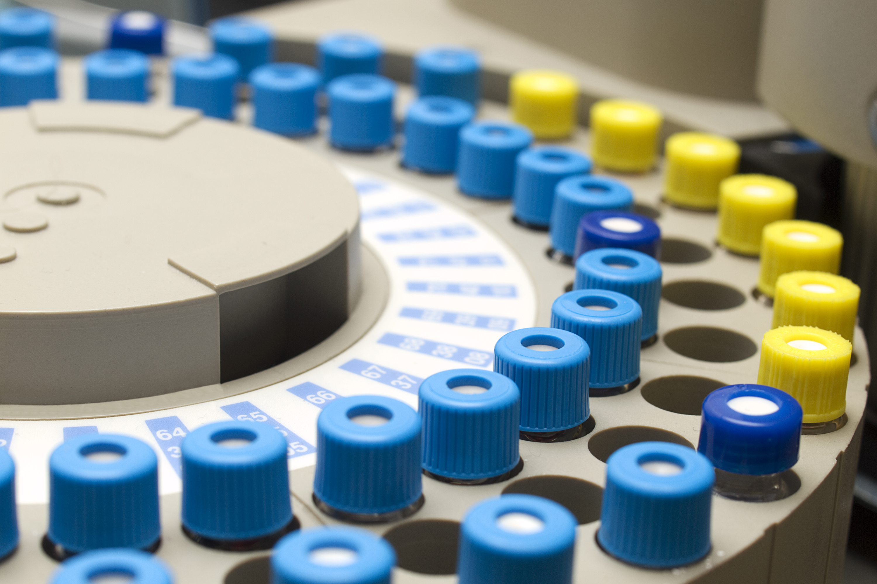 False Positive THC Drug Test: Factors to Consider