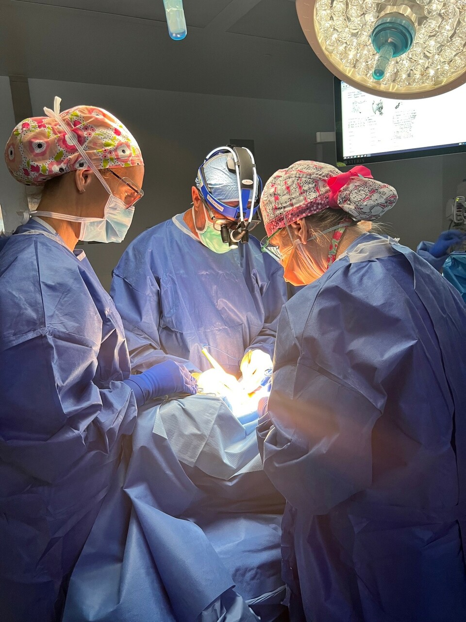 Building a Center of Excellence in Thyroid Surgery