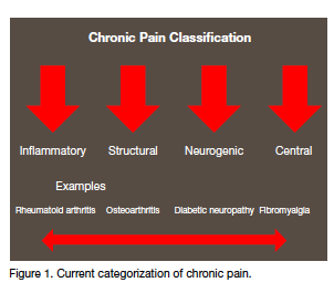 New Insights in Understanding Chronic, Central Pain