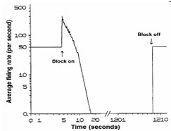 Blocking Out the Pain