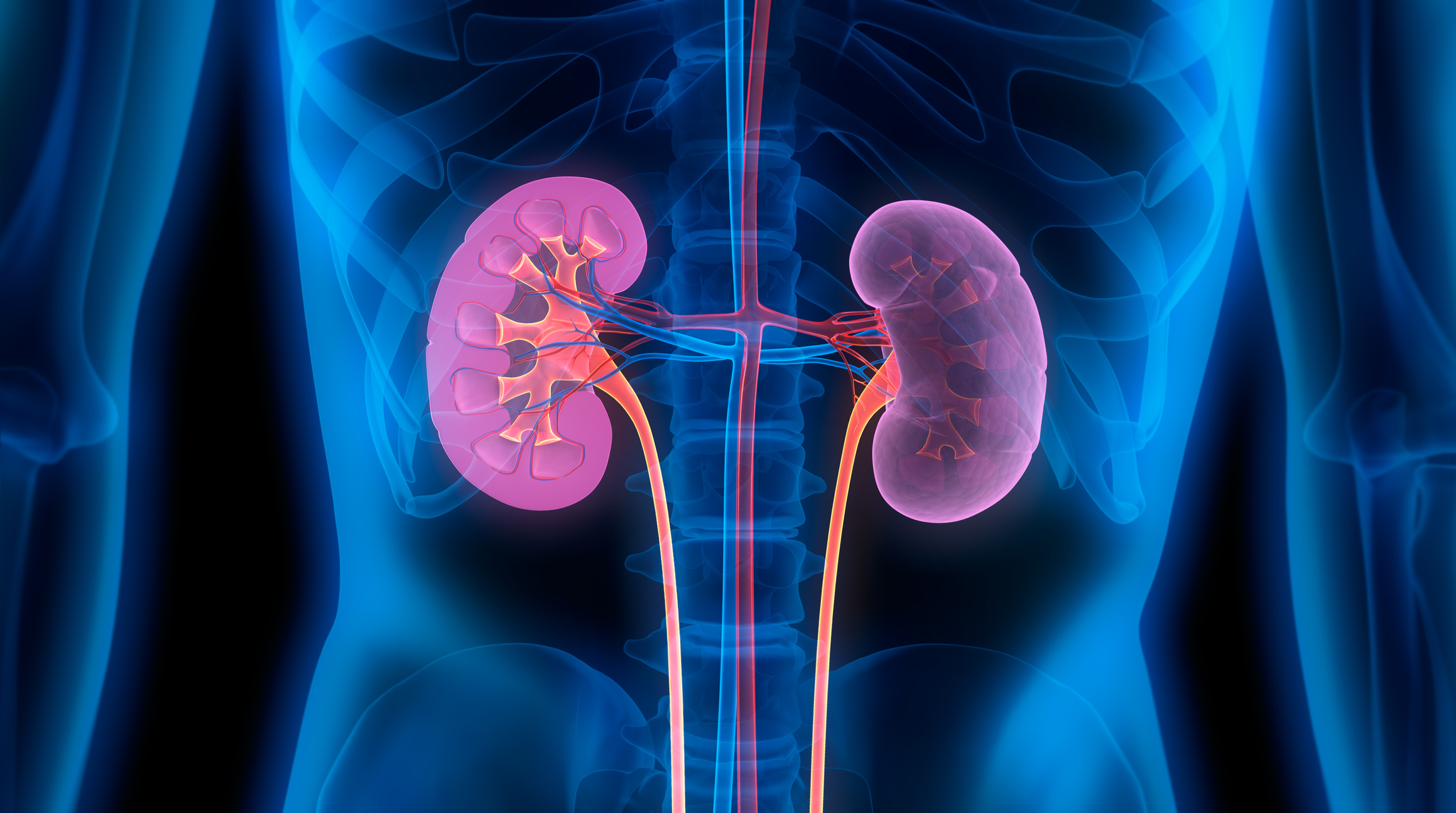 Risk Calculator Provides Early Warning of Chronic Kidney Disease