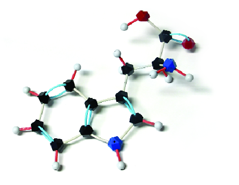 Precursor Amino Acid Therapy