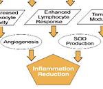 Laser-Accelerated Inflammation/Pain Reduction and Healing
