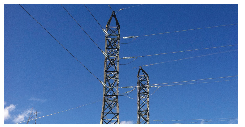 Electromagnetic Applications In Biology and Medicine