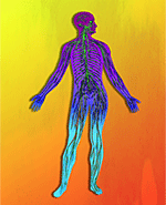Treating Neuropathic Pain in Multiple Sclerosis (MS)