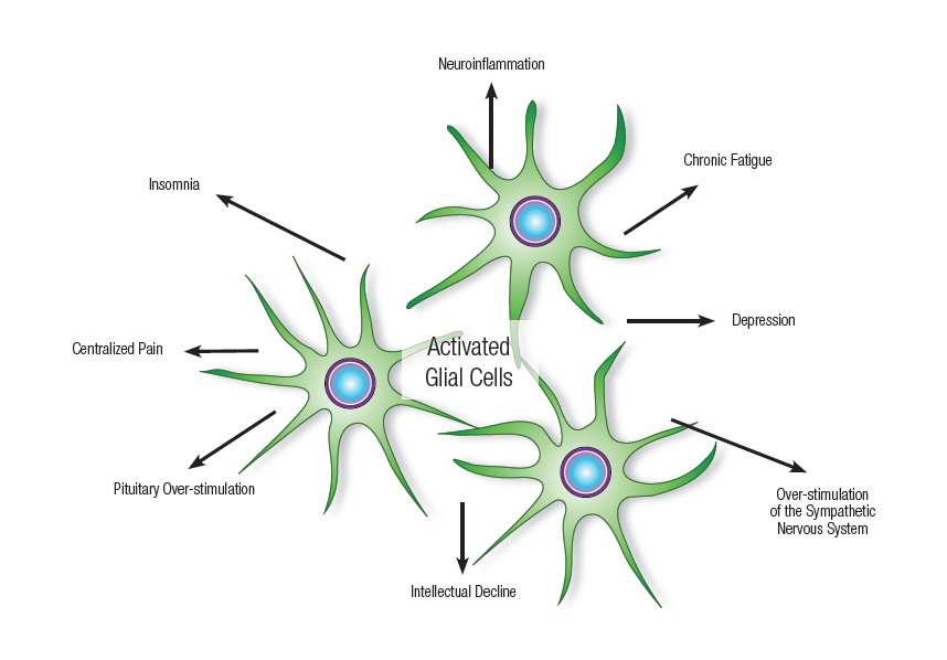 Glial Cell Activation and Neuroinflammation: How They Cause Centralized ...