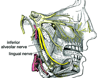 Lingual Paresthesia From Nerve Injection
