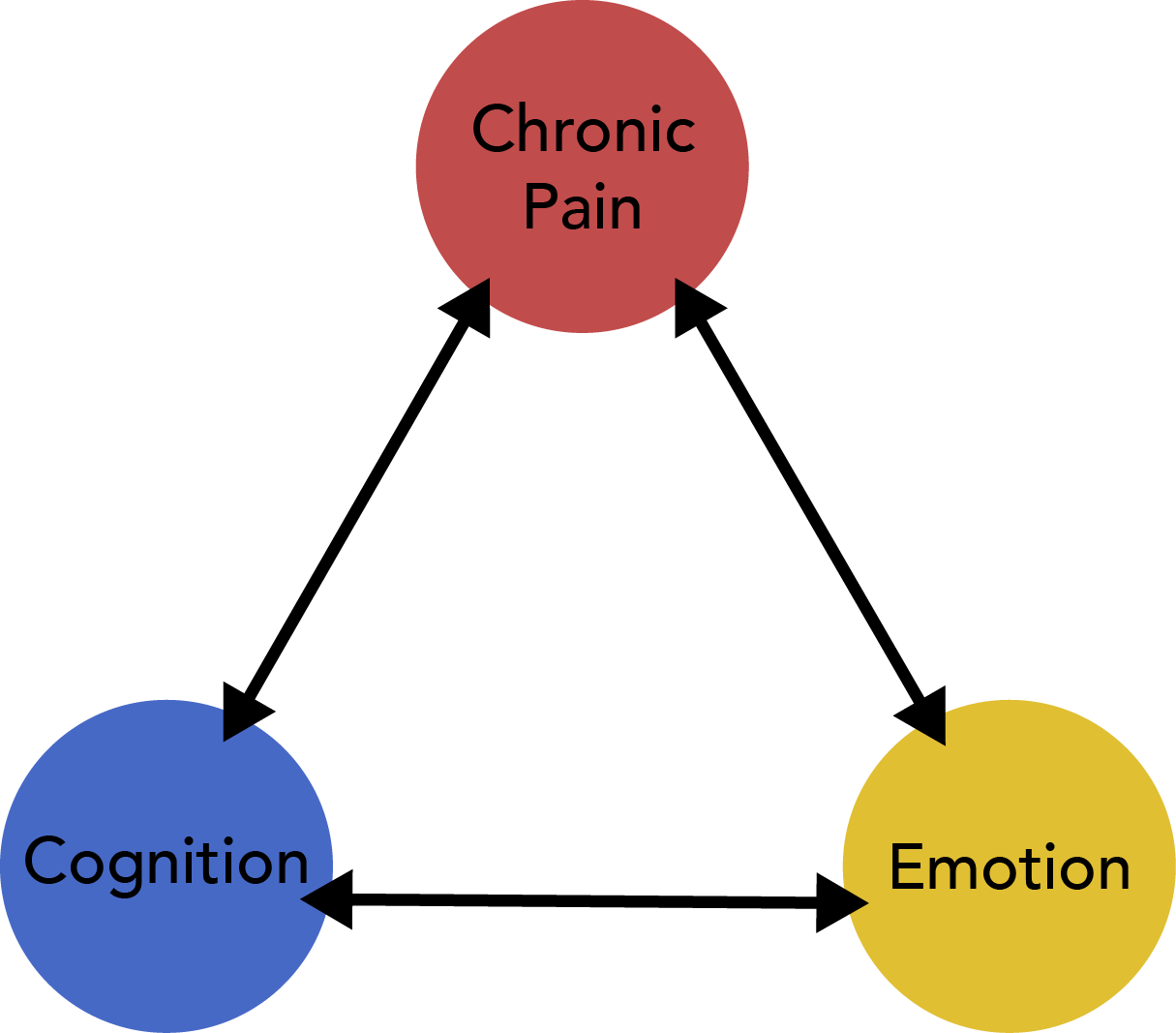Assessing the Pain Triangle