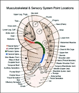 Laser Acupuncture as a Pain Relief Modality