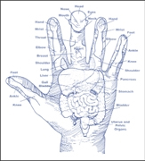 Laser Acupuncture as a Pain Relief Modality