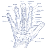 Laser Acupuncture as a Pain Relief Modality