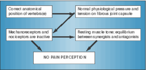 Osteopathic Manipulative Medicine (OMM) for Lower Back Pain