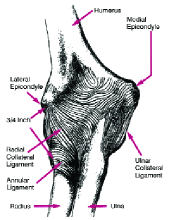Hackett-Hemwall Dextrose Prolotherapy for Unresolved Elbow Pain