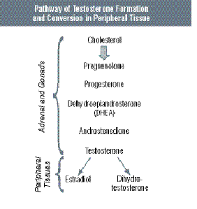 Testosterone Replacement in Chronic Pain Patients