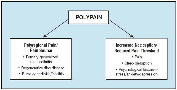 Fibromyalgia, Chronic Widespread Pain, and the Fallacy of Pain from Nowhere