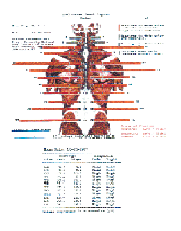 Objective Documentation of Spine Pain
