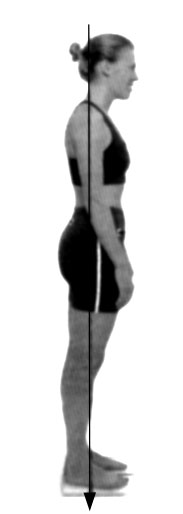 Myofascial Elements of Low Back Pain