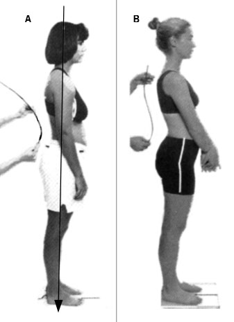 Myofascial Elements of Low Back Pain