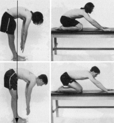 Myofascial Elements of Low Back Pain