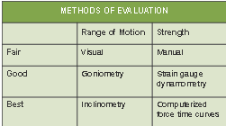 Strength Testing in Pain Assessment