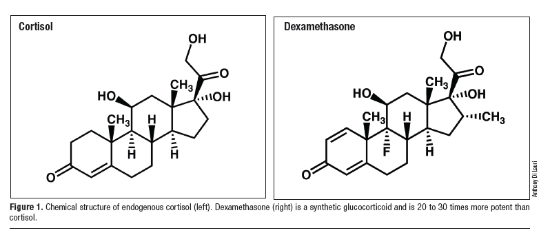 Understanding Potential Complications Of Epidural Steroid Injections