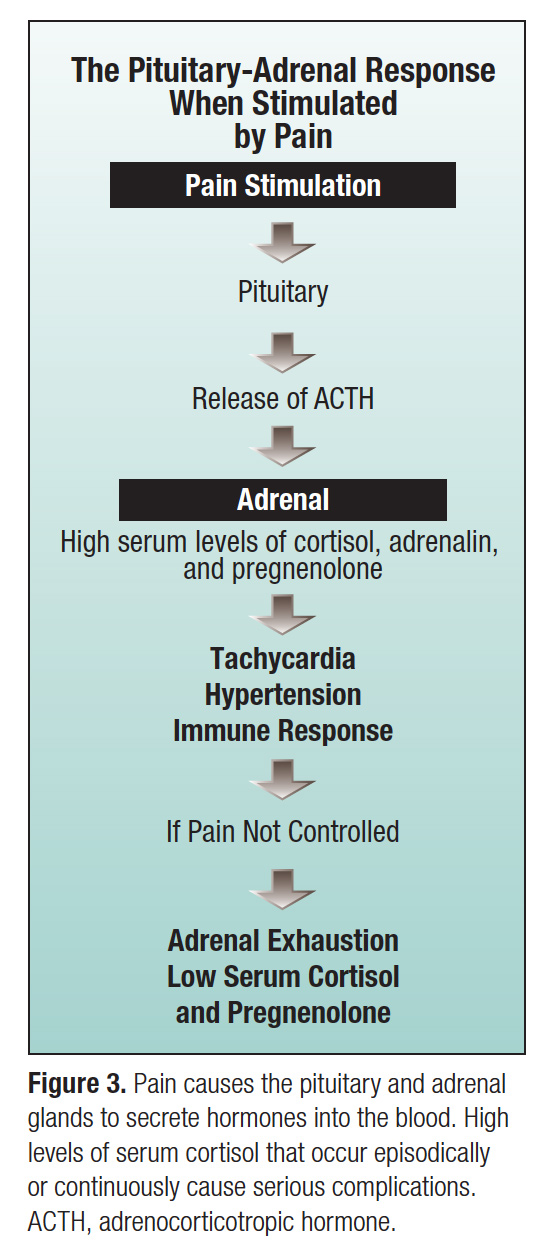 Hormone Therapies: Newest Advance in Pain Care