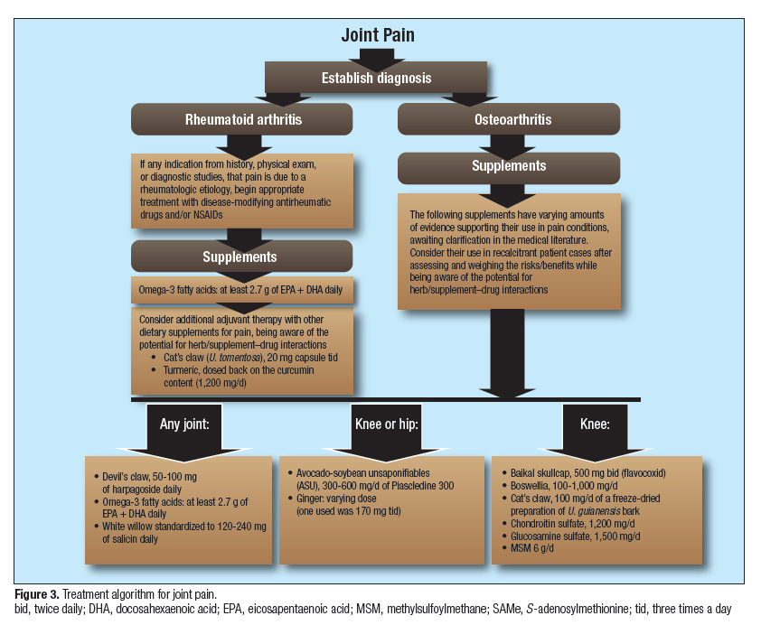 Guide to Dietary Supplements Most Commonly Used in Pain Management