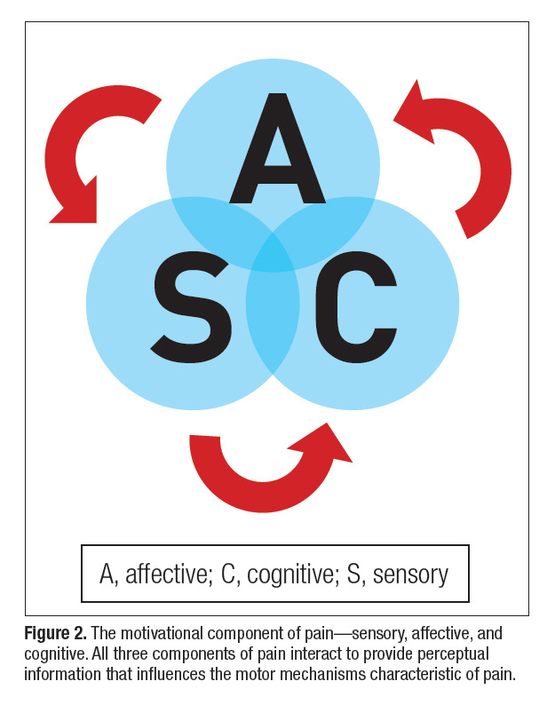 History of Pain: A Brief Overview of the 19th and 20th Centuries