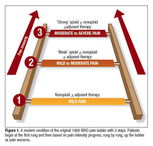 History of Pain: The Treatment of Pain