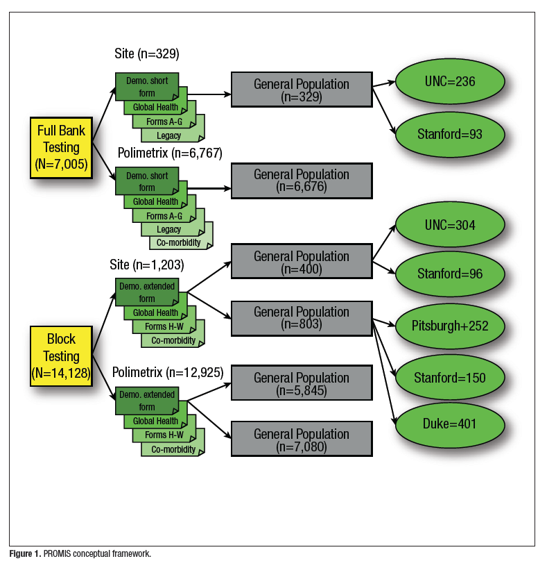 PROMIS Pain-Related Measures: An Overview