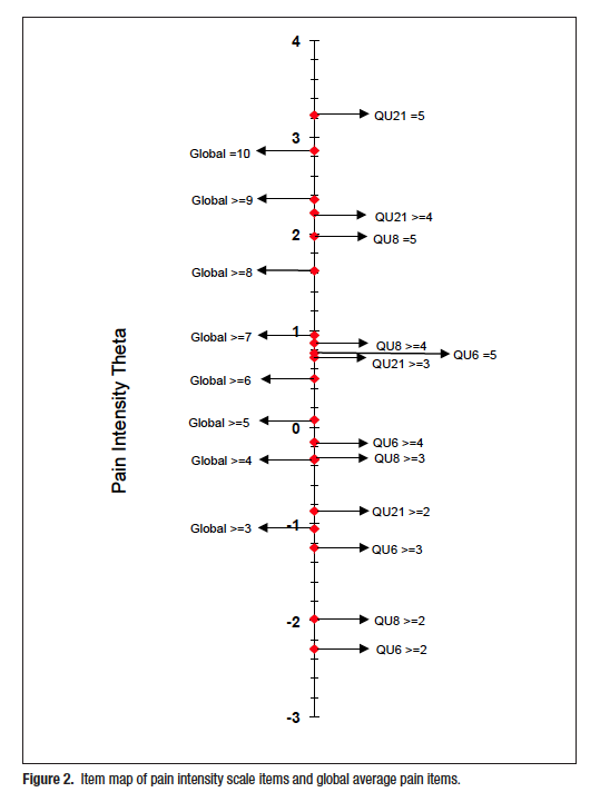 PROMIS Pain-Related Measures: An Overview