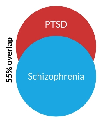 Assessing and Treating Comorbid Schizophrenia and PTSD