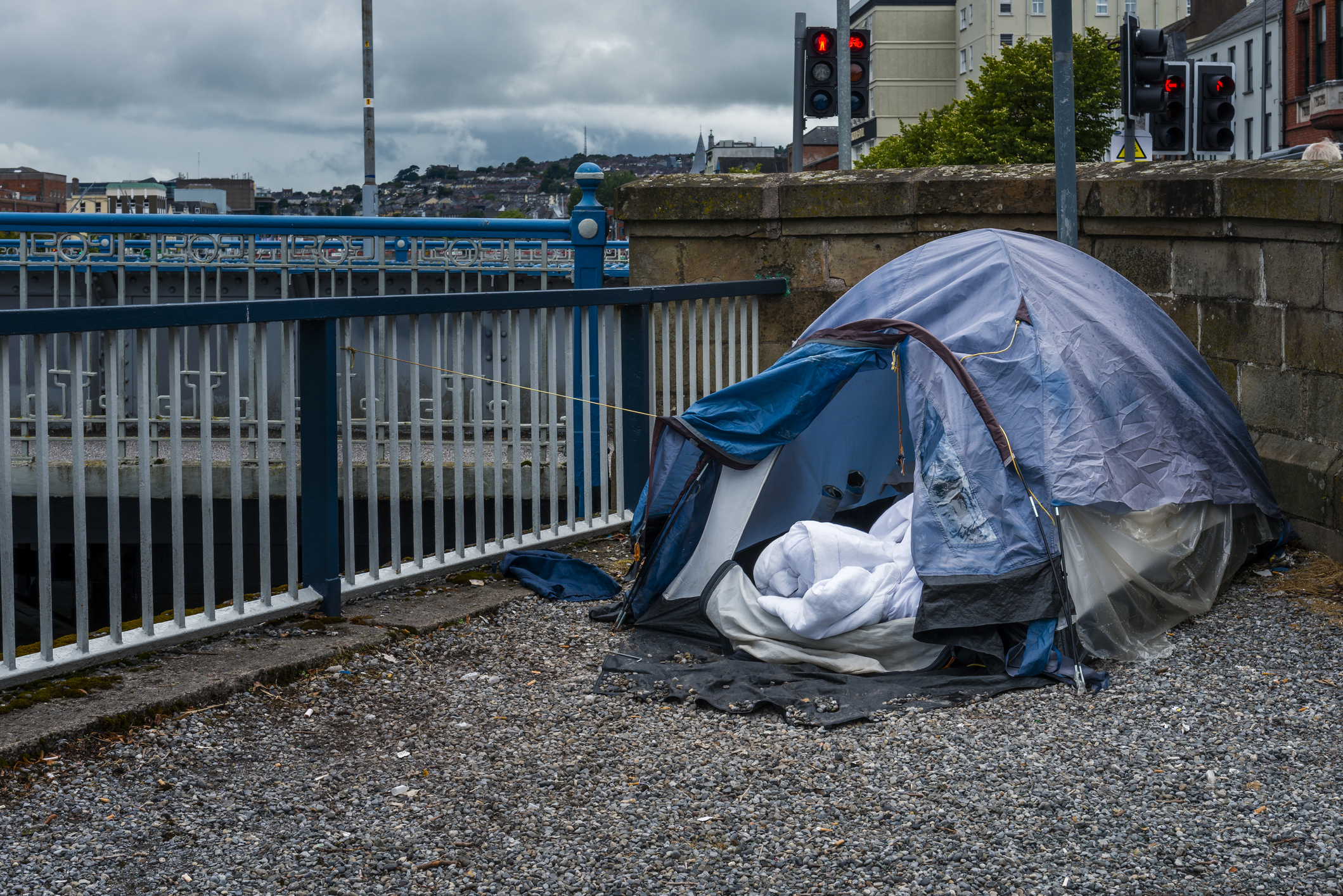 Trauma, Mental Health, and the Homeless Population in America
