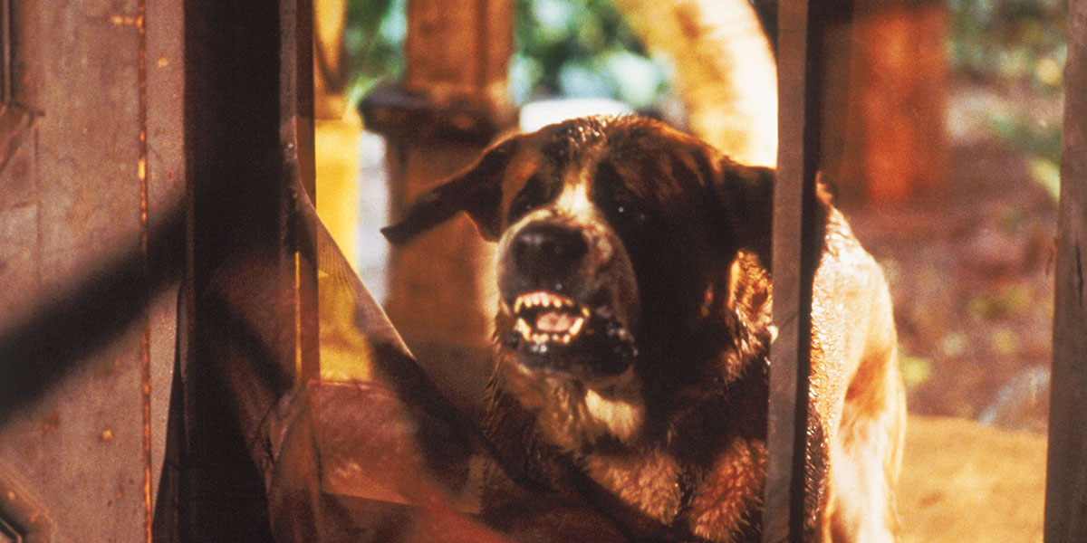 Cujo with Lewis Teague