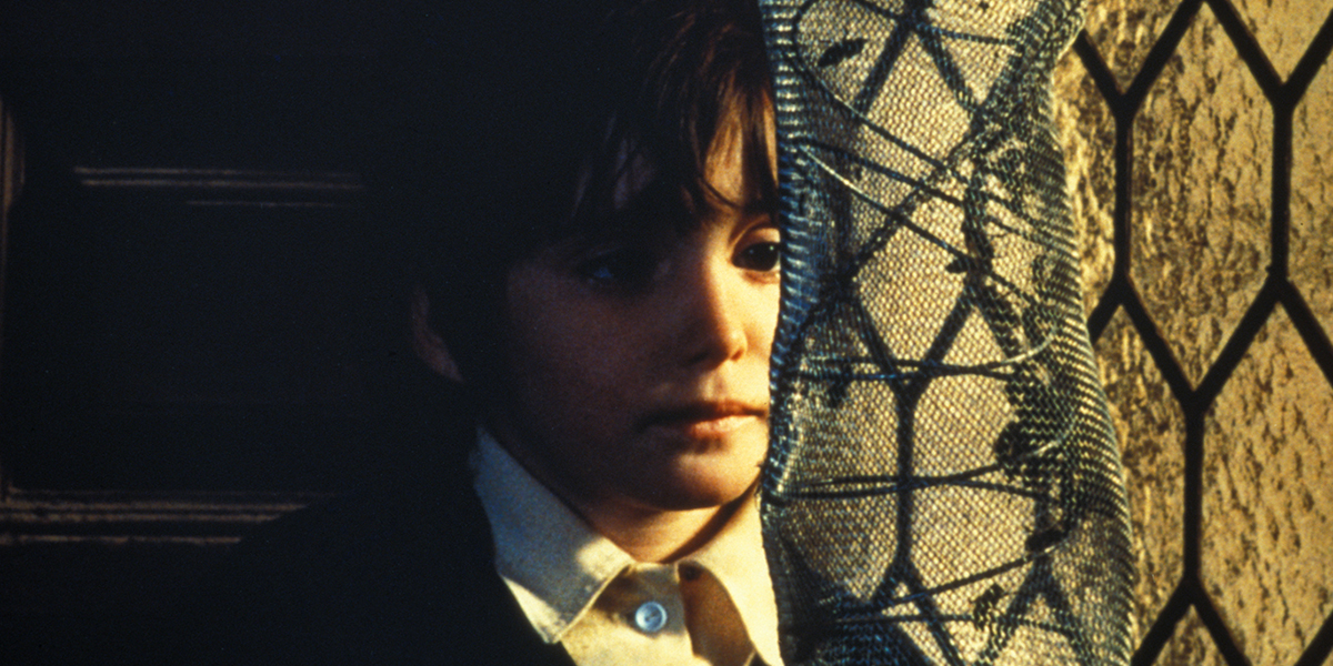 The Spirit of the Beehive