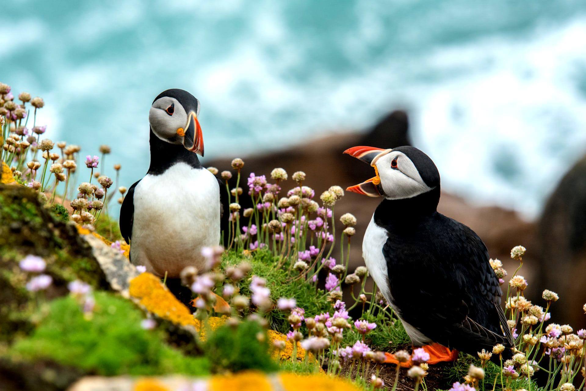 Image Processing in Python with Pillow