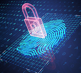 Biometric Authentication
