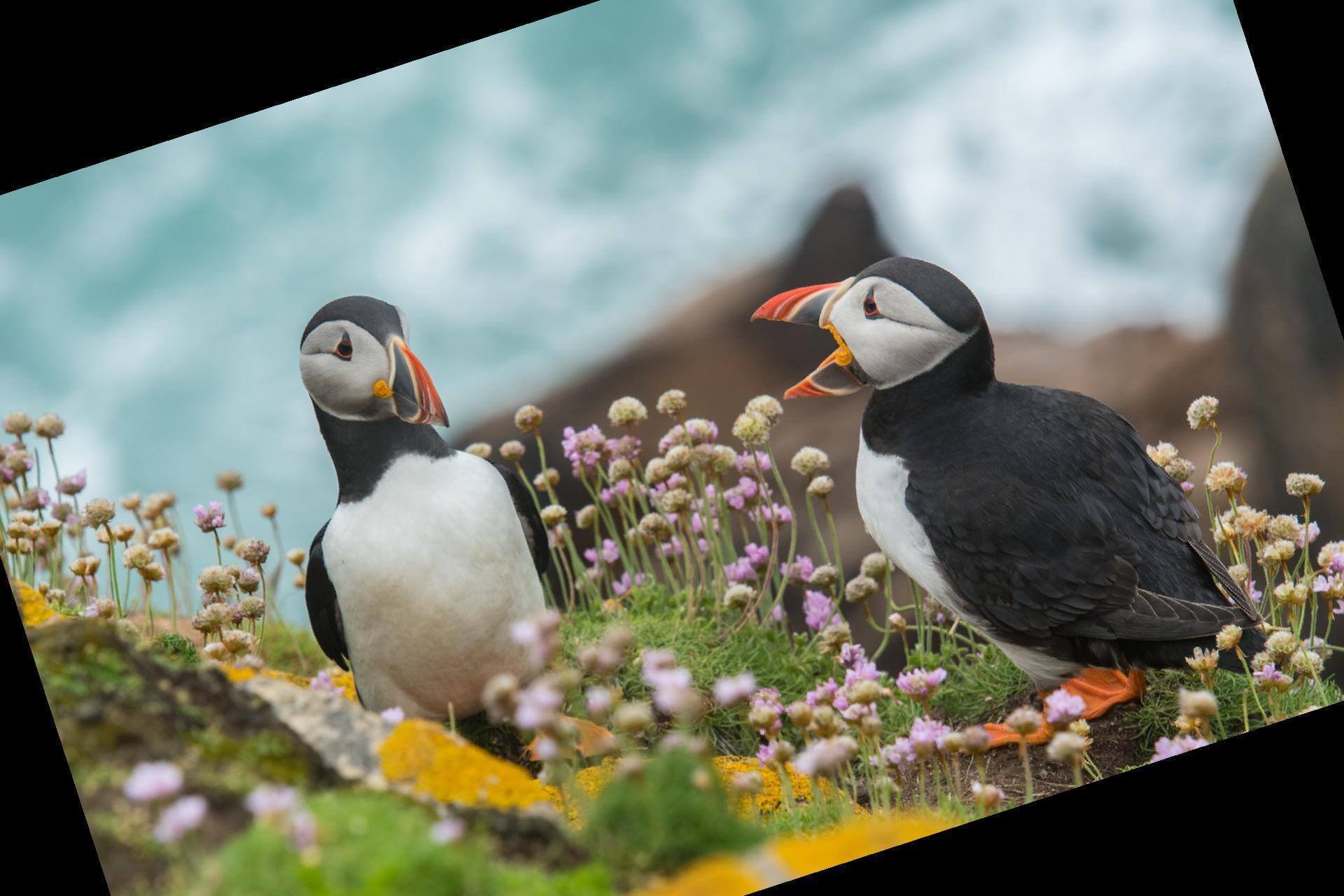 Image Processing in Python with Pillow