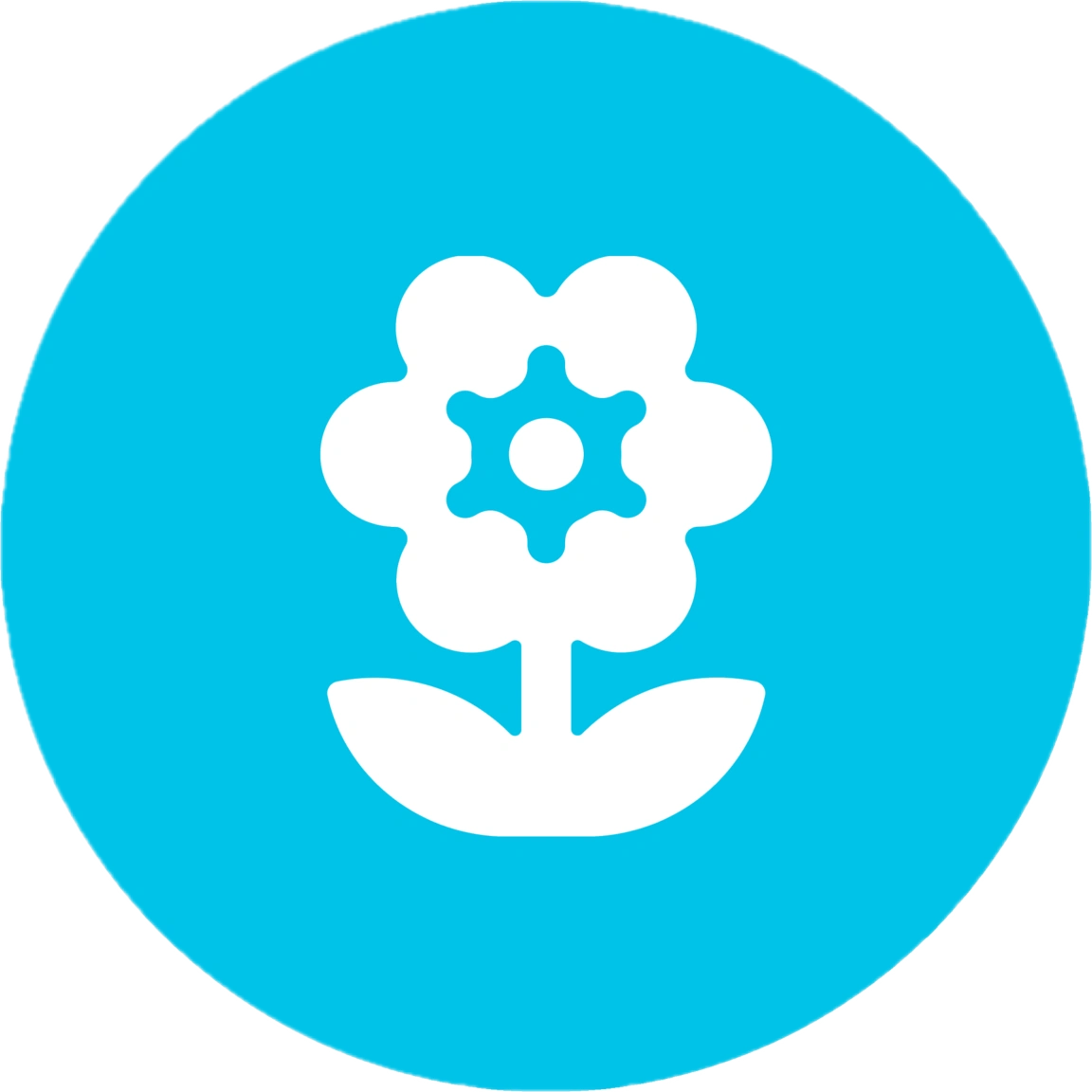 Fresh flowers delivered | Same-hour flower delivery - Wolt (Poland)