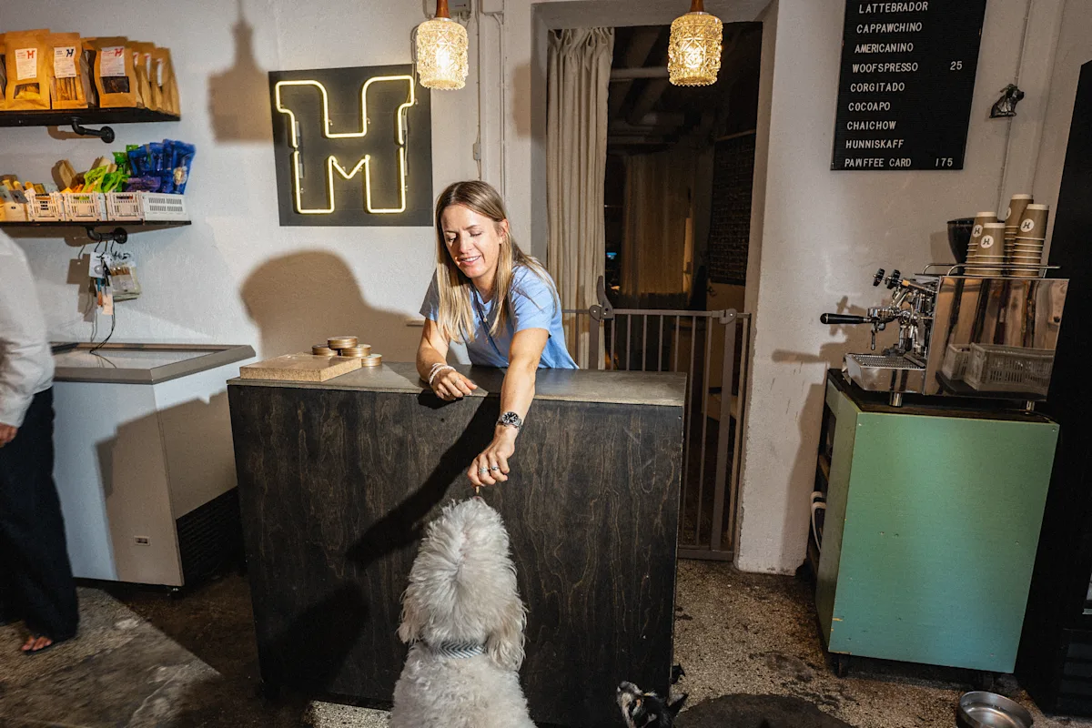 How Hunni Concept Dog Store grew sales with Wolt - Wolt (Norway)