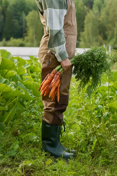 Wolt Market | Same-hour grocery delivery - Wolt (Poland)