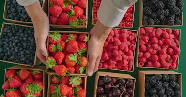 Wolt Market | Same-hour grocery delivery - Wolt (Cyprus)