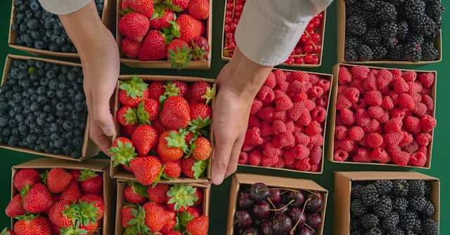 Wolt Market | Same-hour grocery delivery - Wolt (Cyprus)