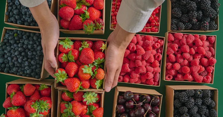 Wolt Market | Your local supermarket - Wolt (Greece)
