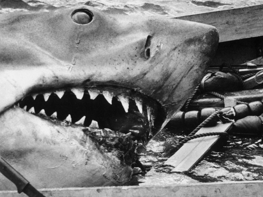 Alex Kintner on the Menu | Inside 'Jaws': The Making of the First ...