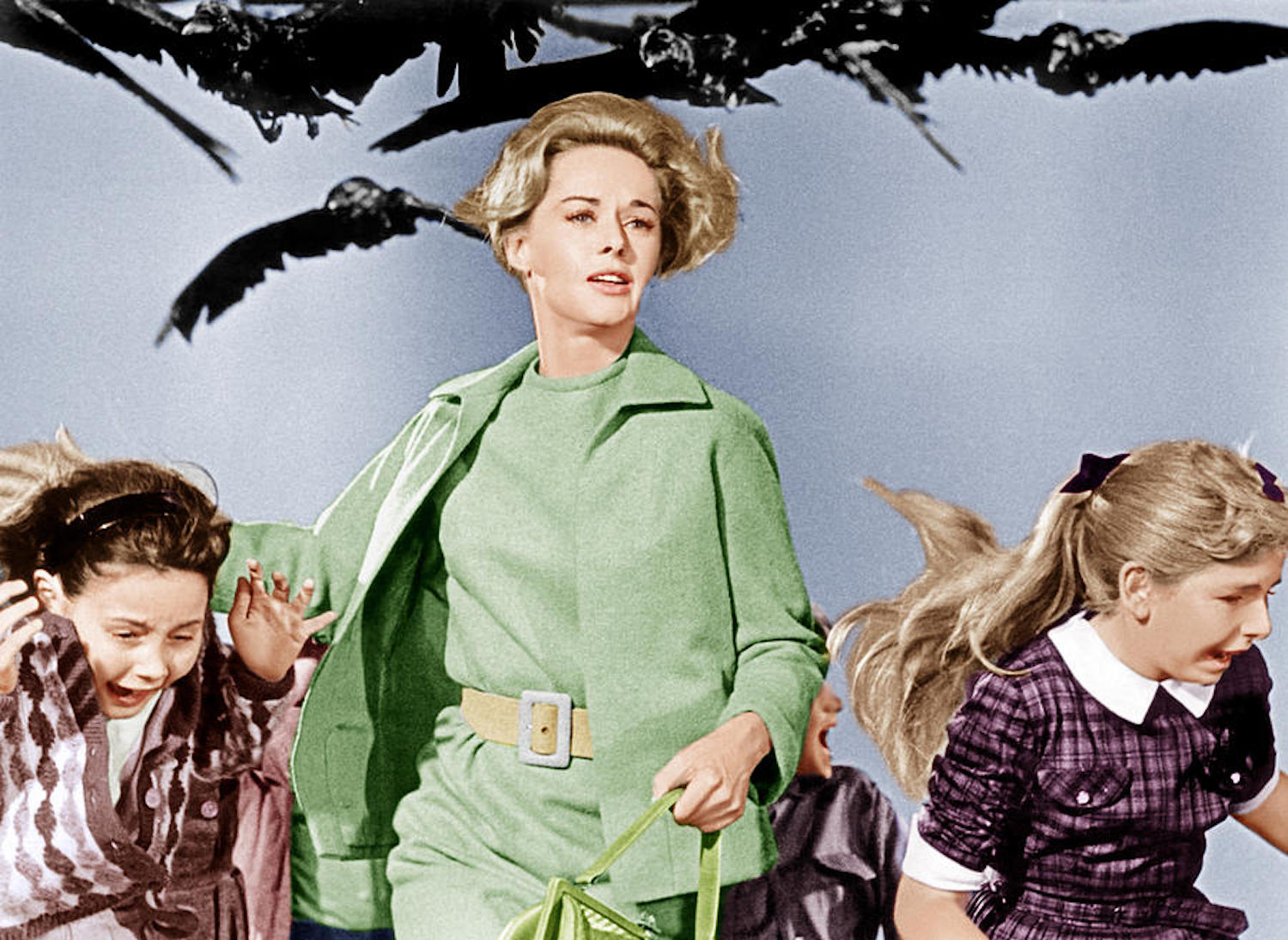 8 The Birds 1963 20 Greatest Alfred Hitchcock Films Ranked Purple Clover