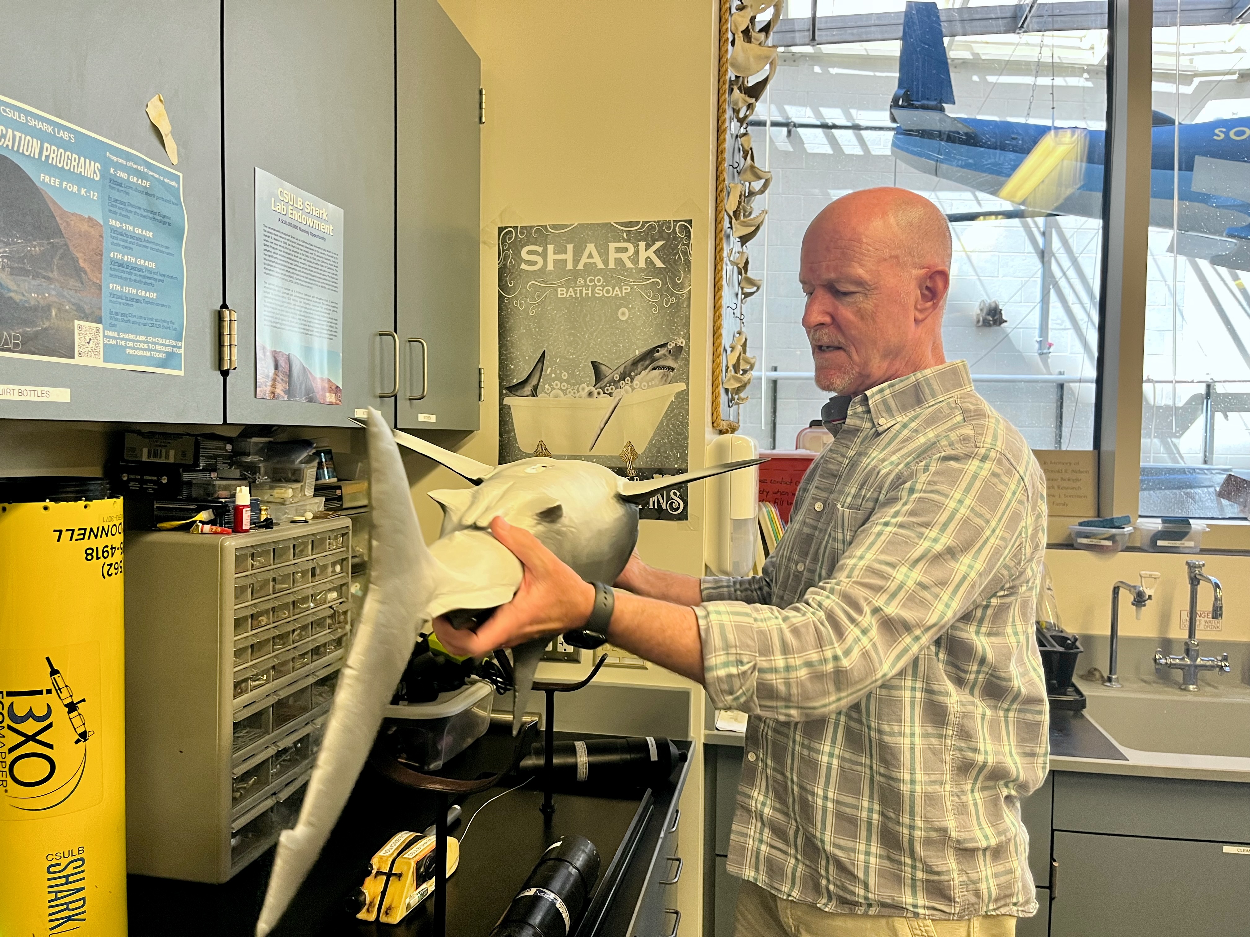 Shark sightings are up. Should you worry? | KCRW Reports | KCRW