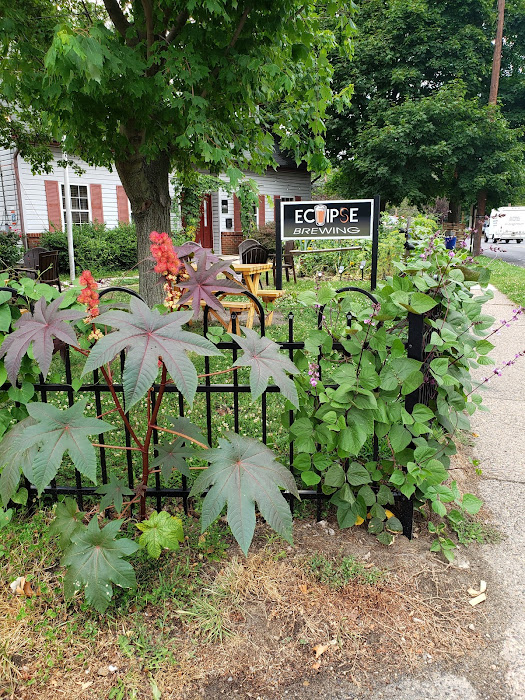 Eclipse Brewing | Gallery