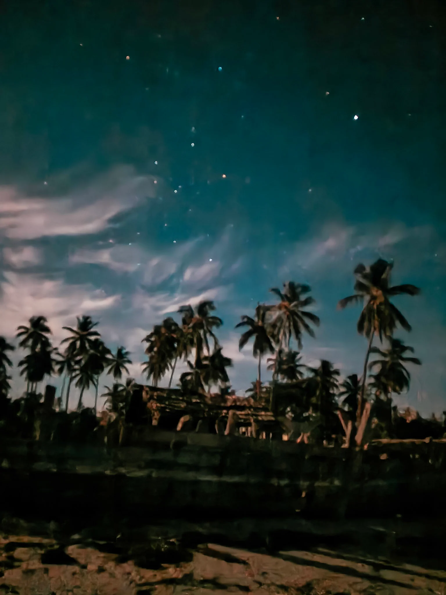 How to get to Mafia Island on a budget (using the ferry) [2024] | Lisa ...