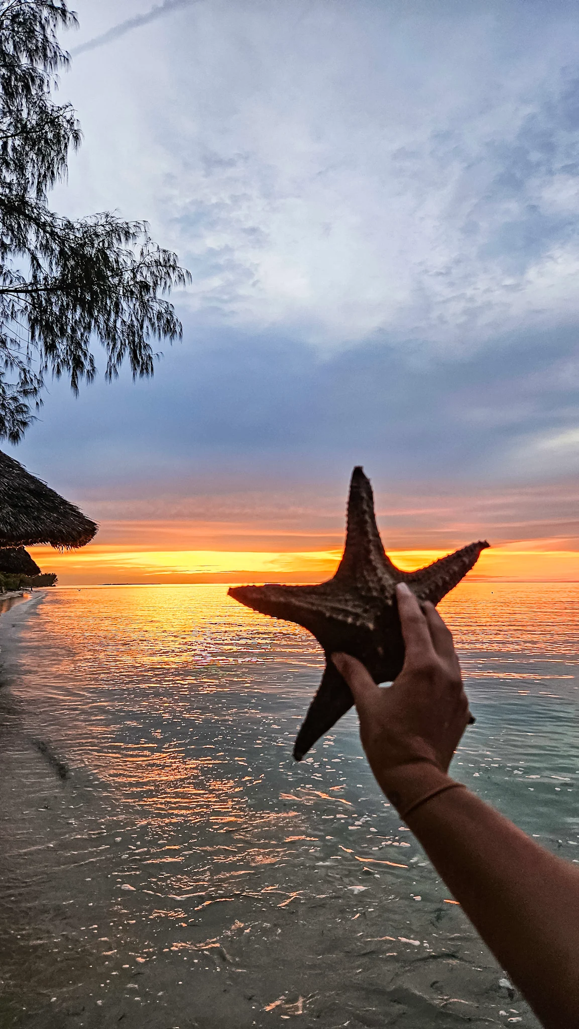 How to get to Mafia Island on a budget (using the ferry) [2024] | Lisa ...